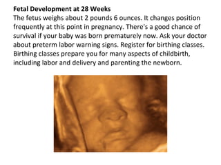 Fetal development | PPT