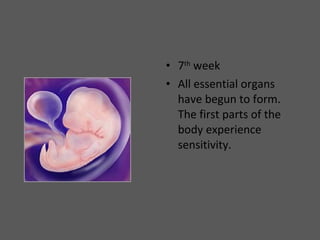 Fetal Development | PPT | Pregnancy | Reproductive Health