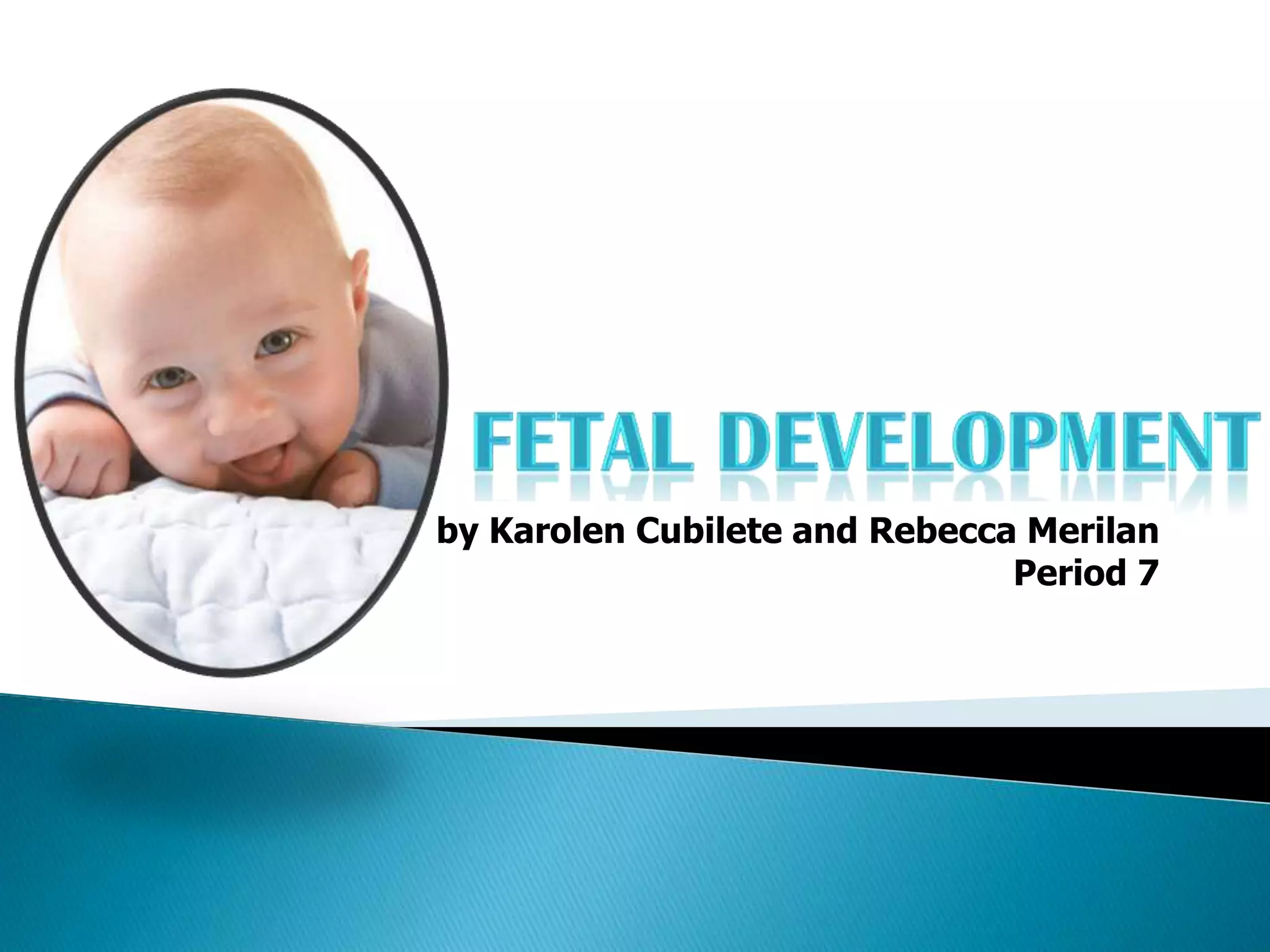 Fetal development | PPTX