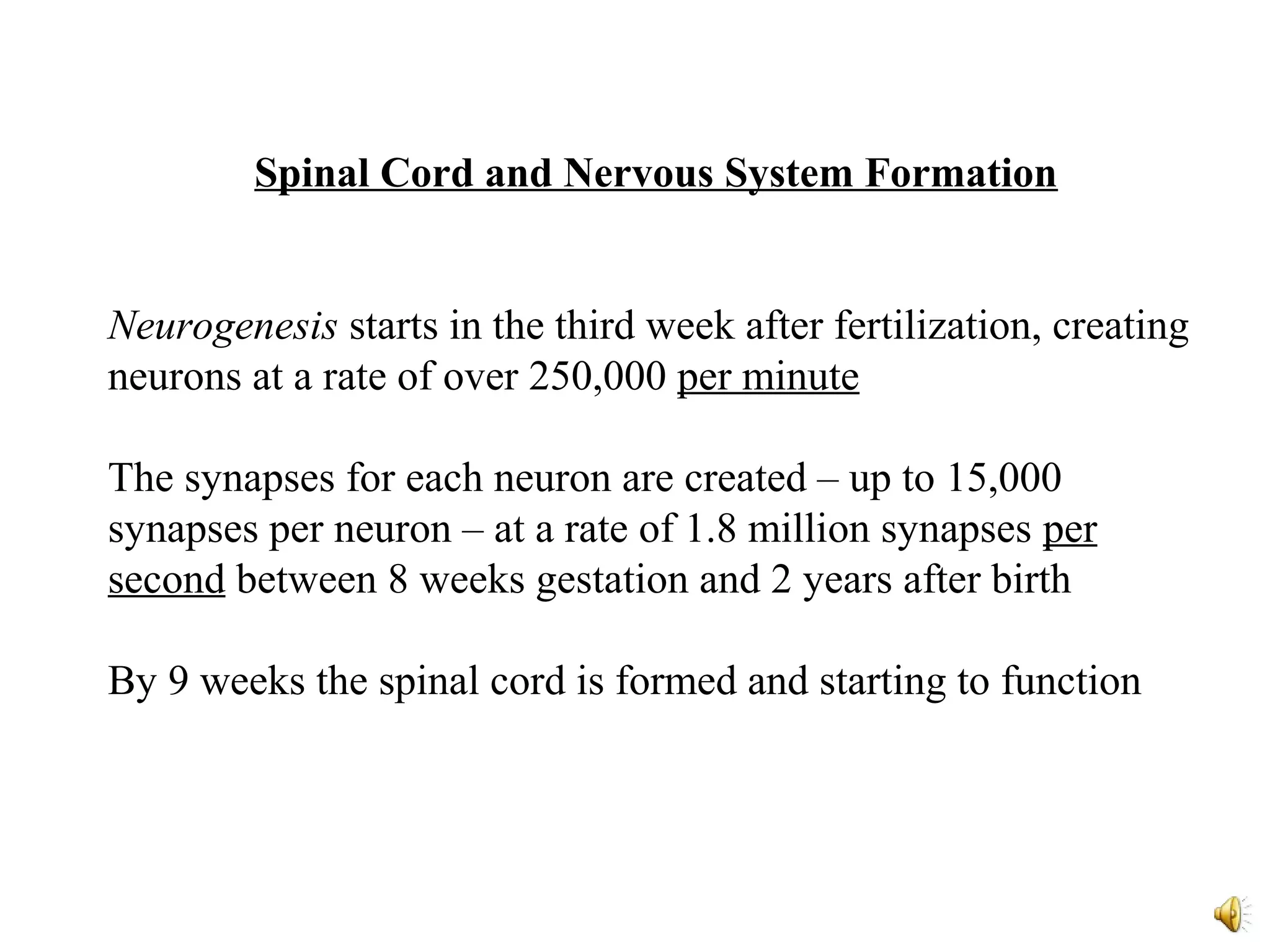 Fetal development | PPS