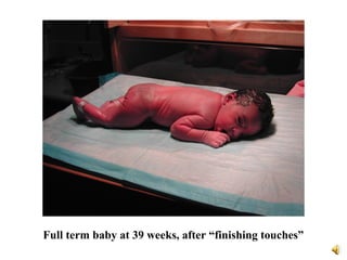 Fetal development | PPS