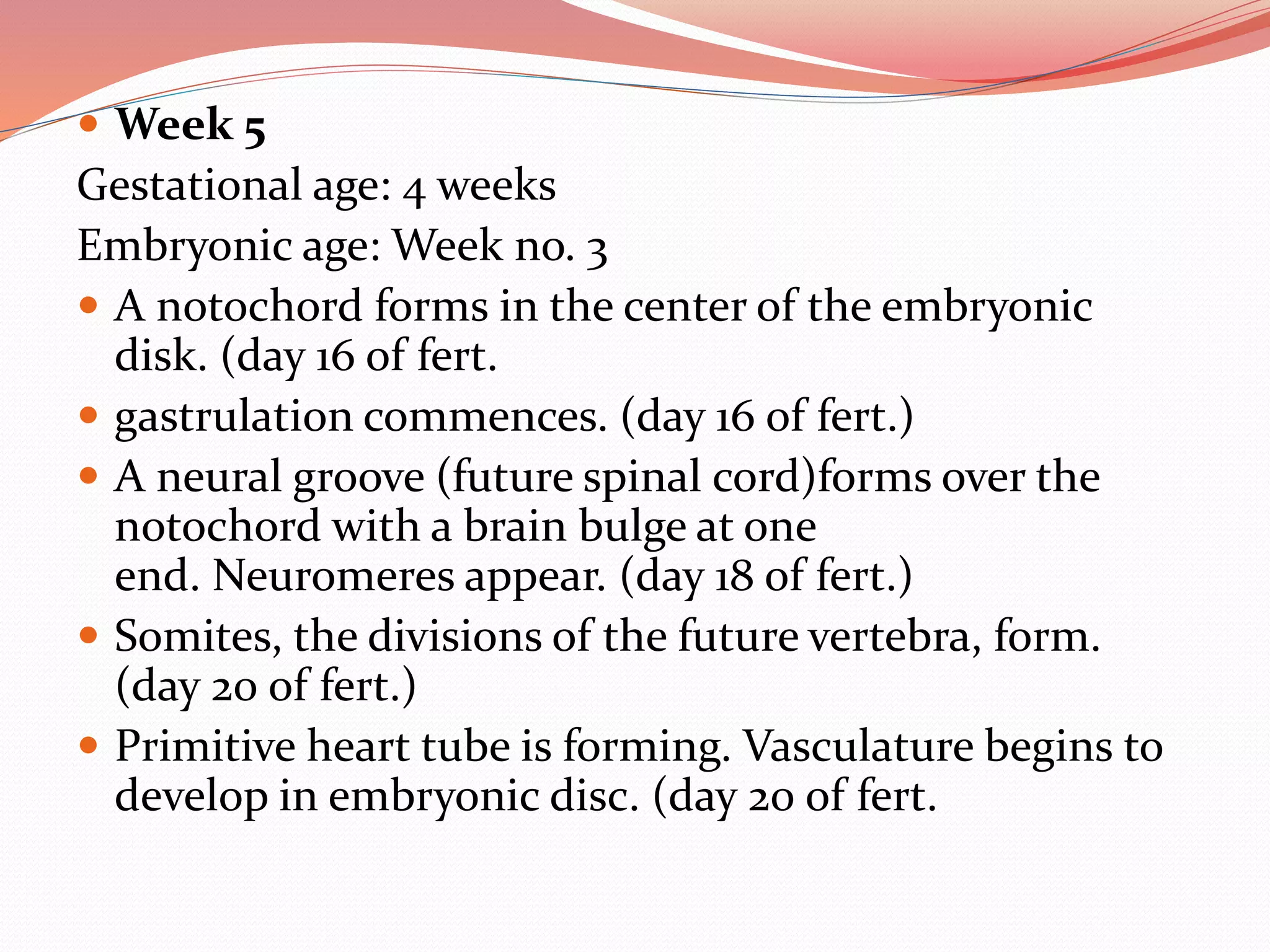 Fetal development | PPTX