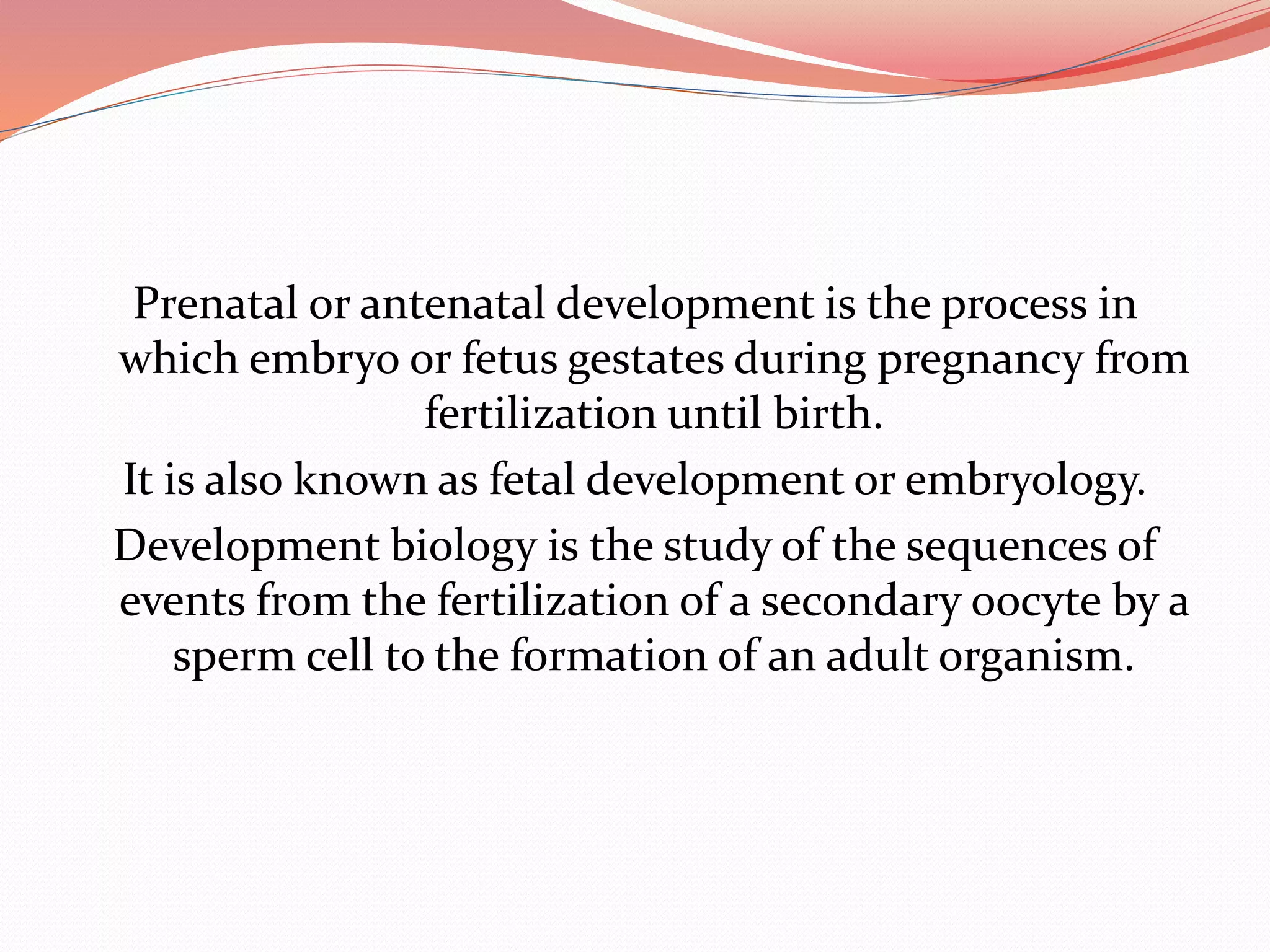 Fetal development | PPTX