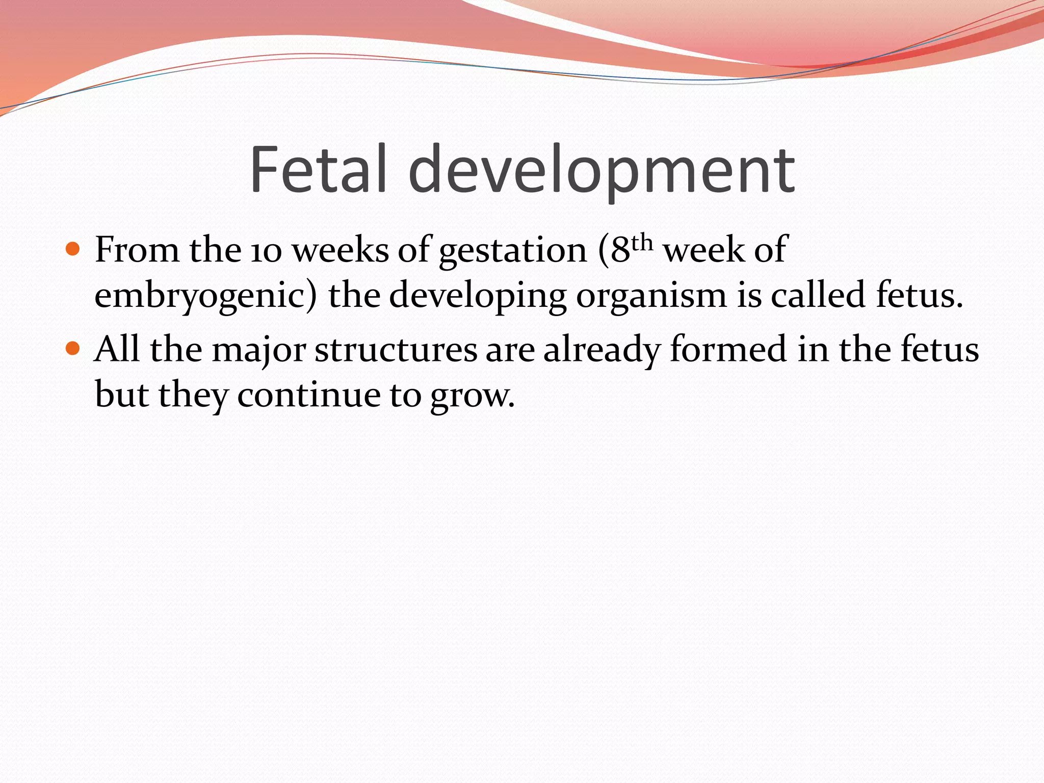 Fetal development | PPTX