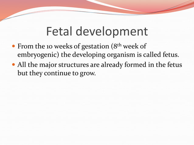 Fetal development | PPTX | Infertility | Reproductive Health
