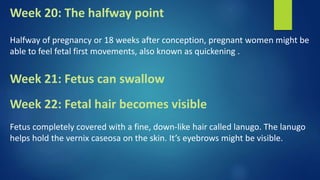 Fetal development | PPTX