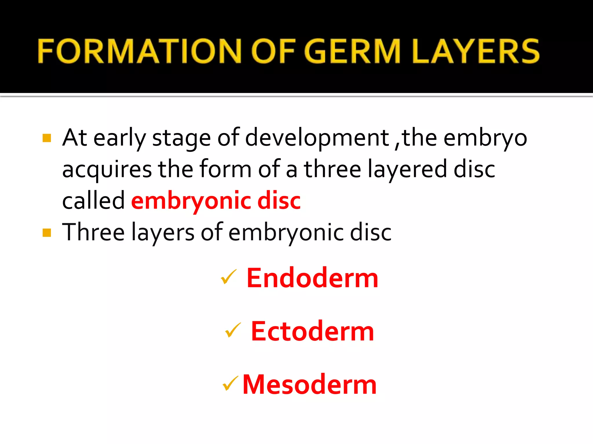 Fetal development | PPTX