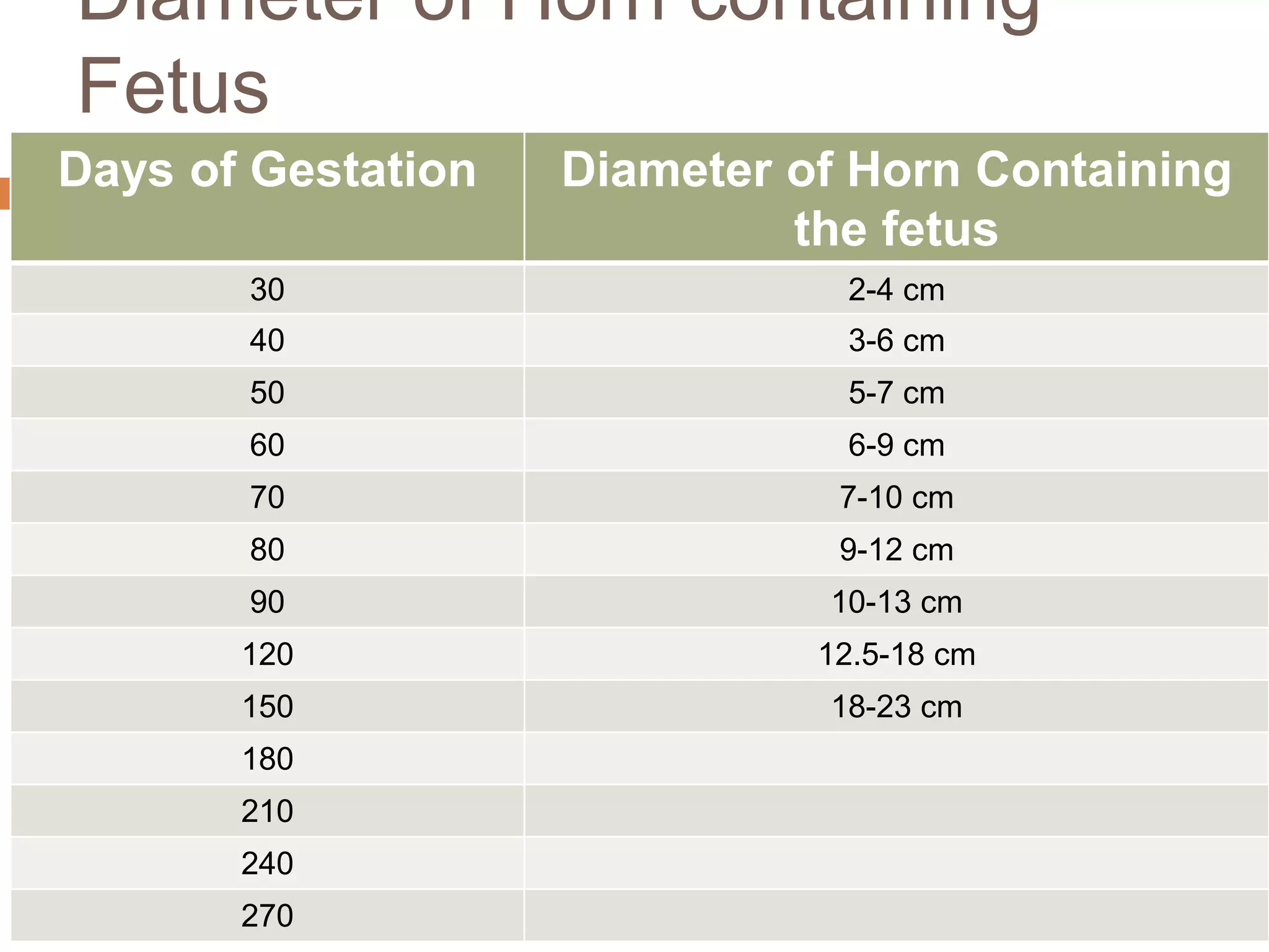 Fetal development | PPTX