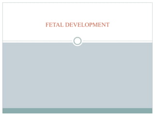 Fetal development | PPTX