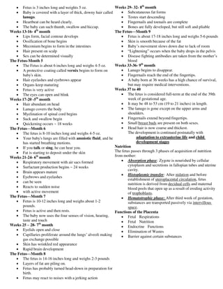 Fetal development | PDF