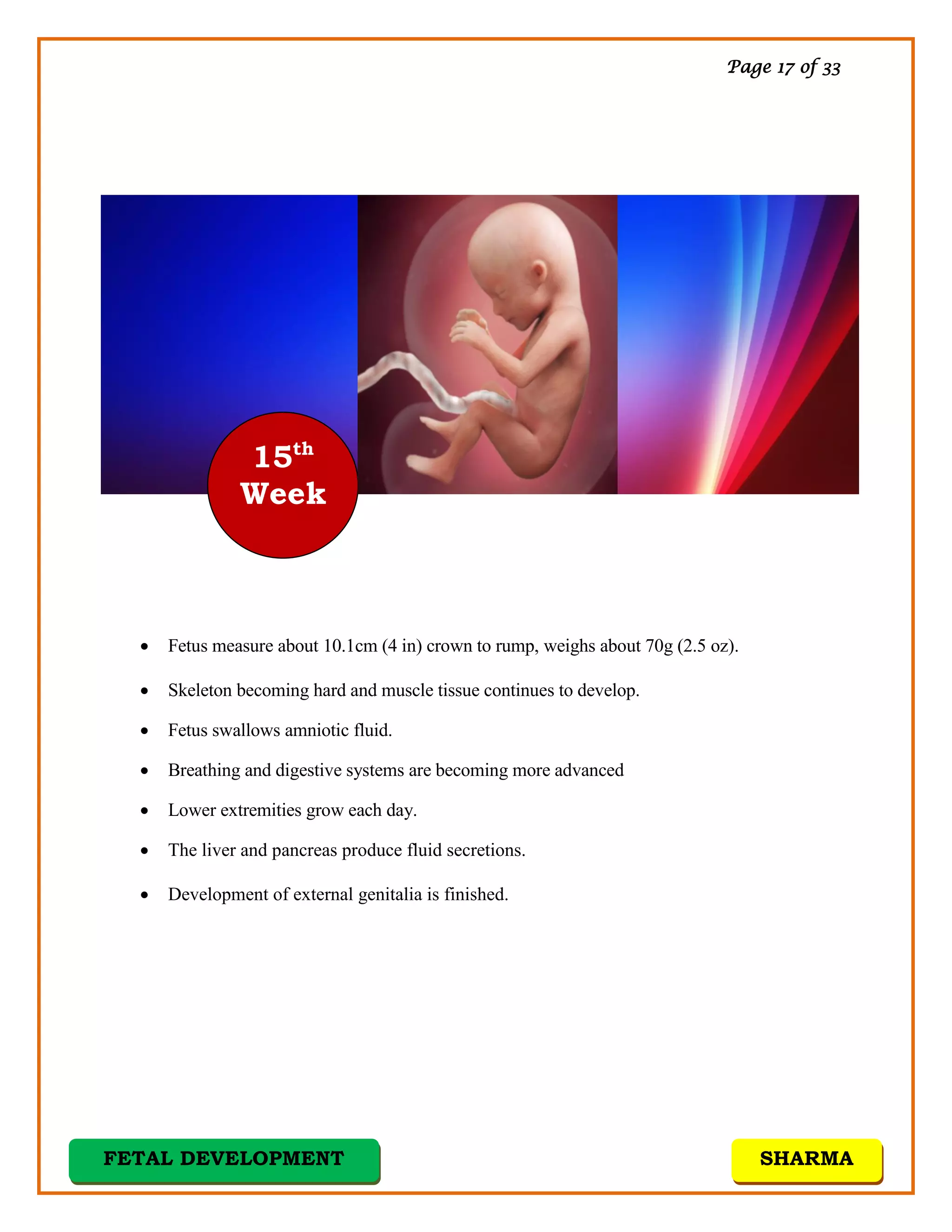 Fetal development | PDF