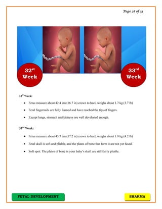 Fetal development | PDF