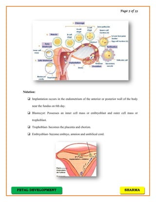 Fetal development | PDF