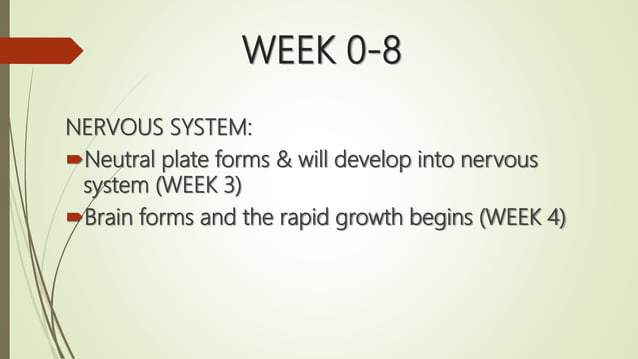 FETAL DEVELOPMENT | PPT