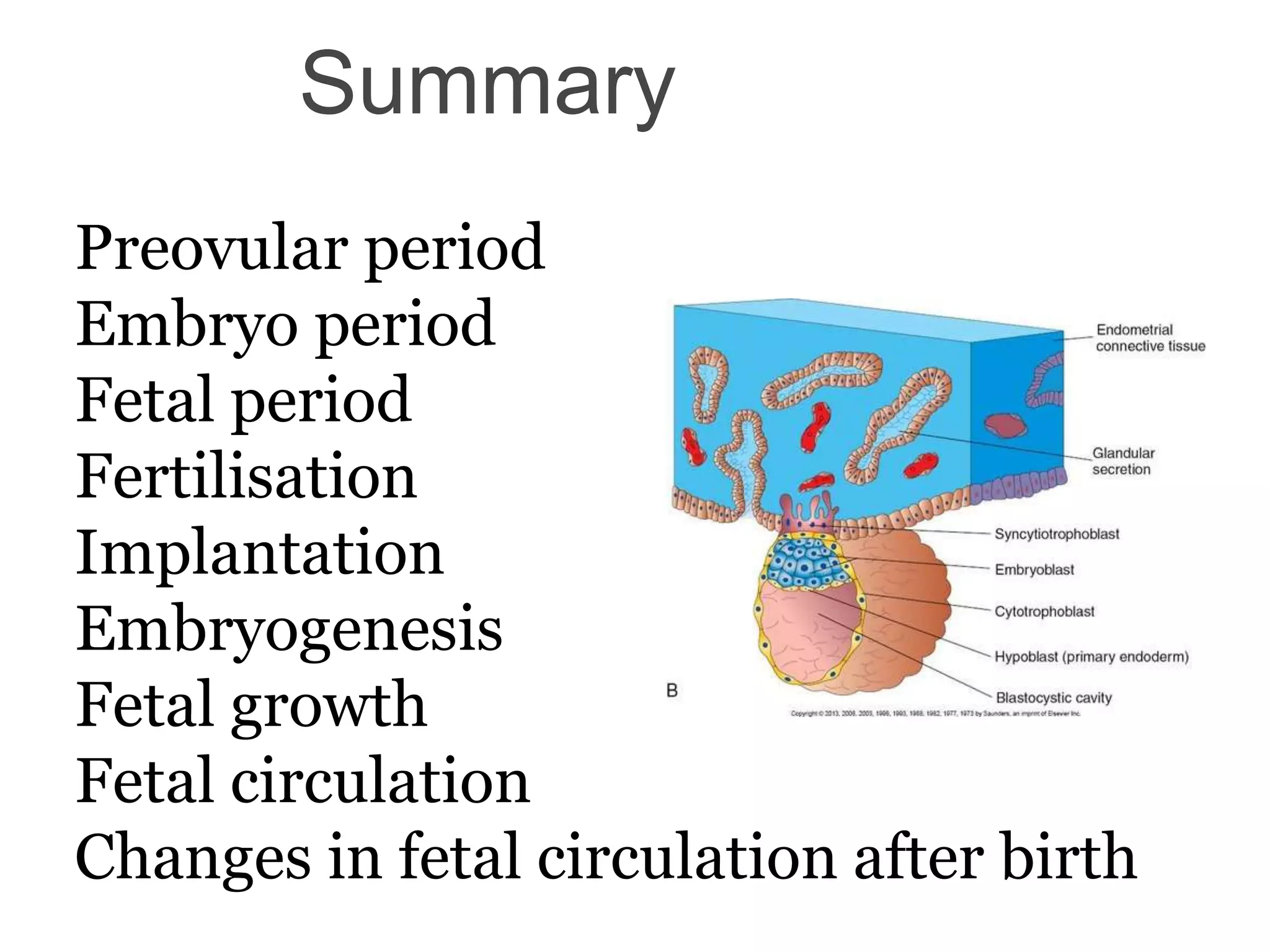 Fetal development | PPTX