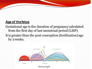 Fetal development | PPTX