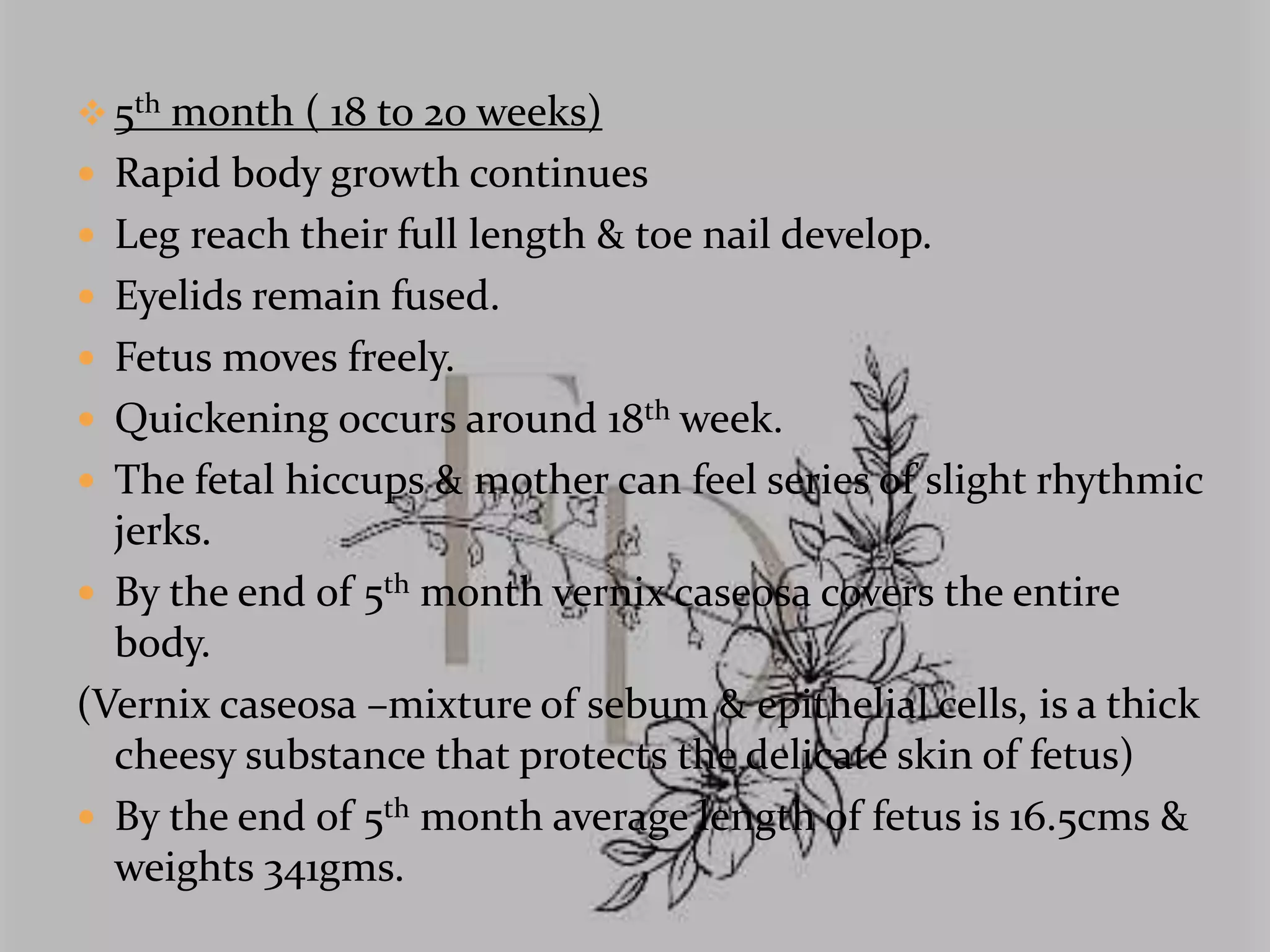 Fetal development | PPTX