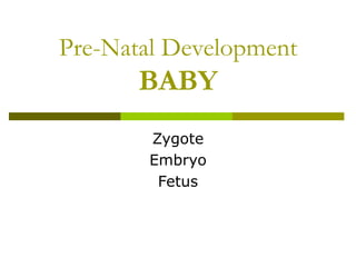 Pre-Natal Baby Development Stages from Zygote to Fetus in 9 Months | PPT