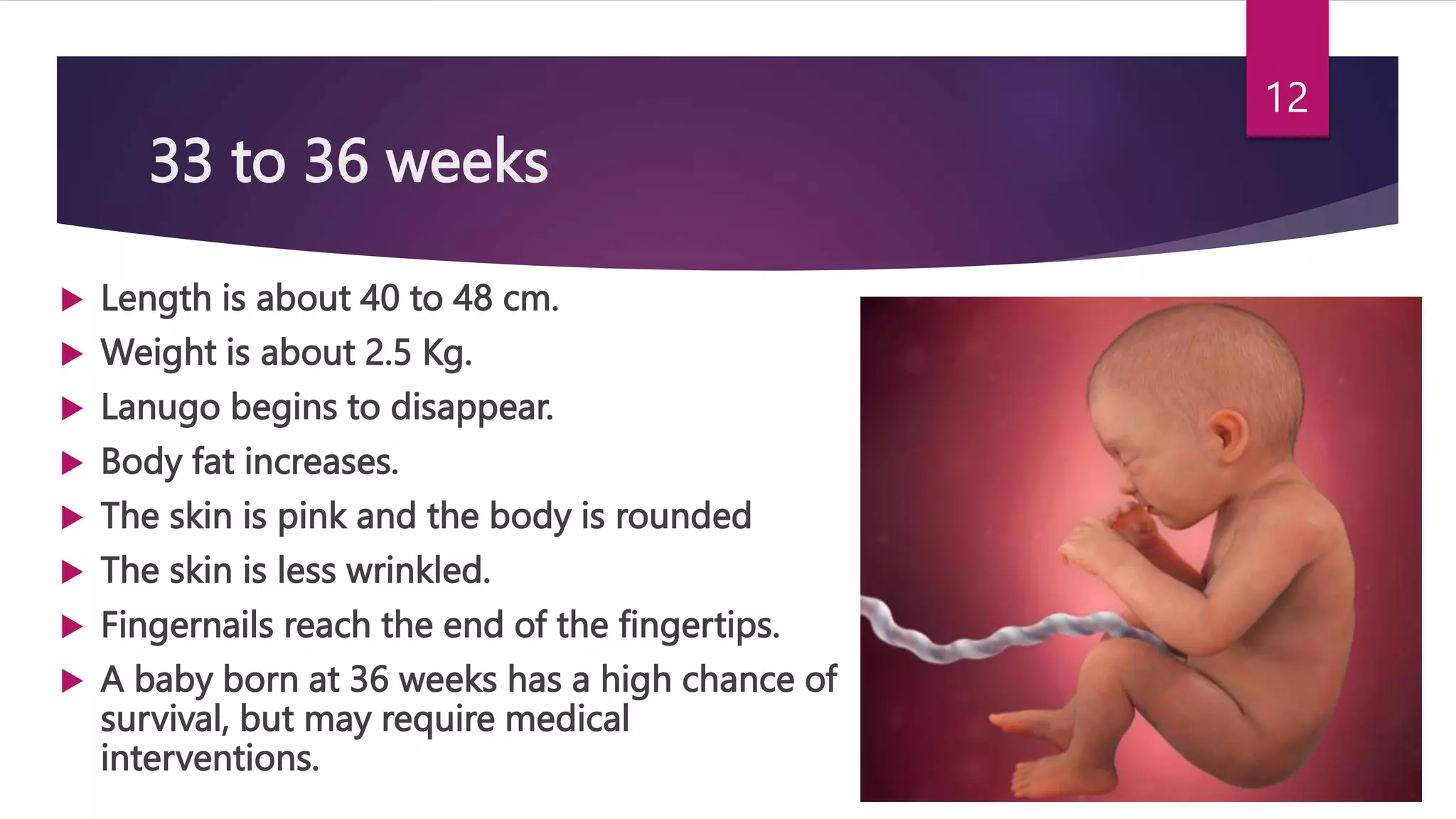 fetal development.pptx