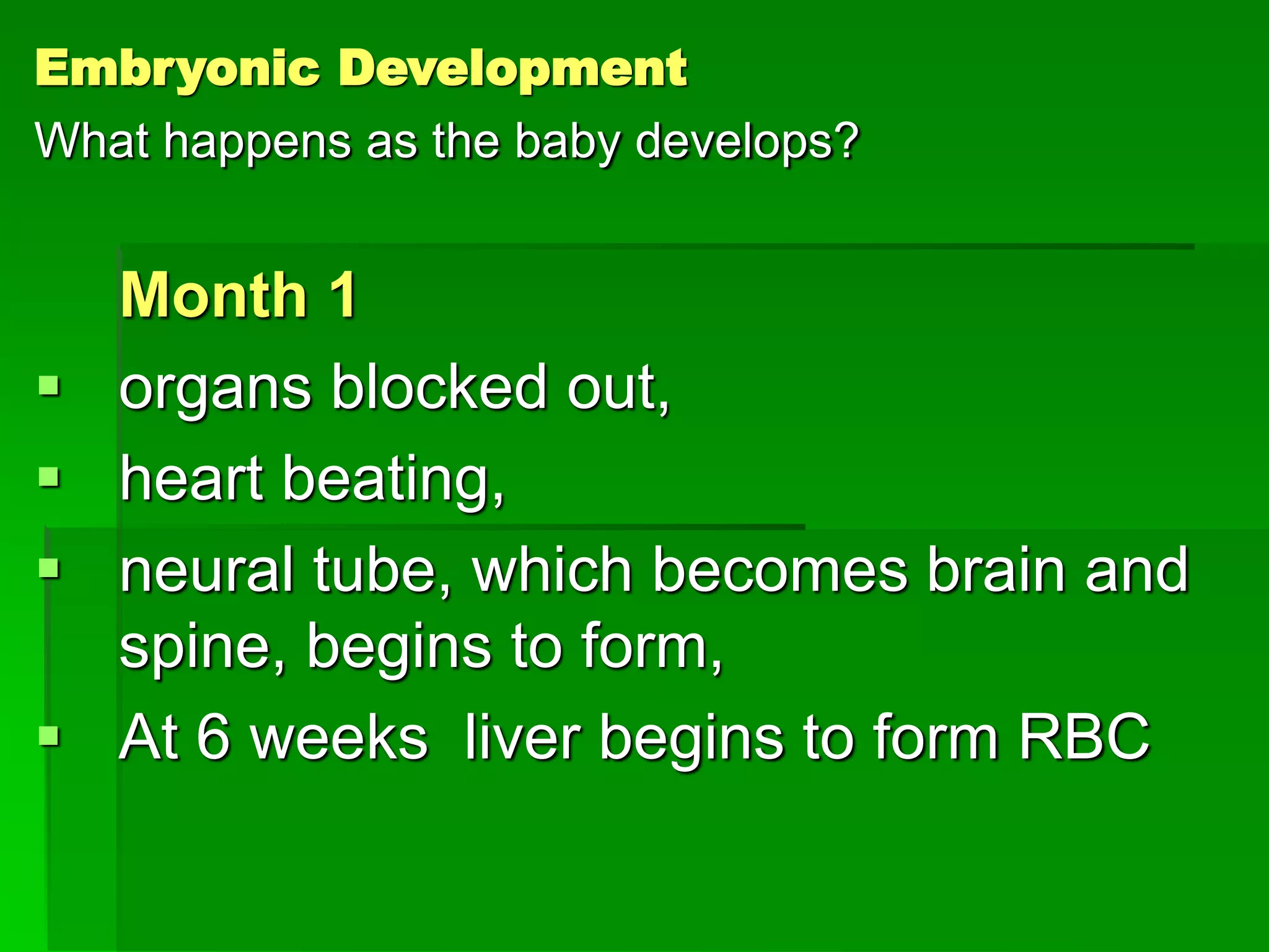 FETAL DEVELOPMENT.ppt