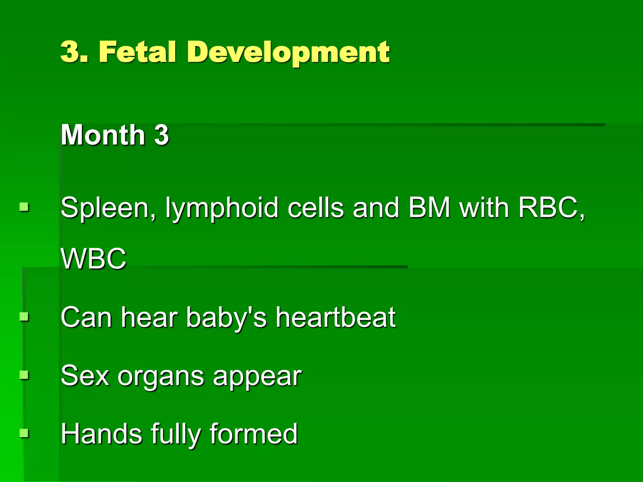 FETAL DEVELOPMENT.ppt