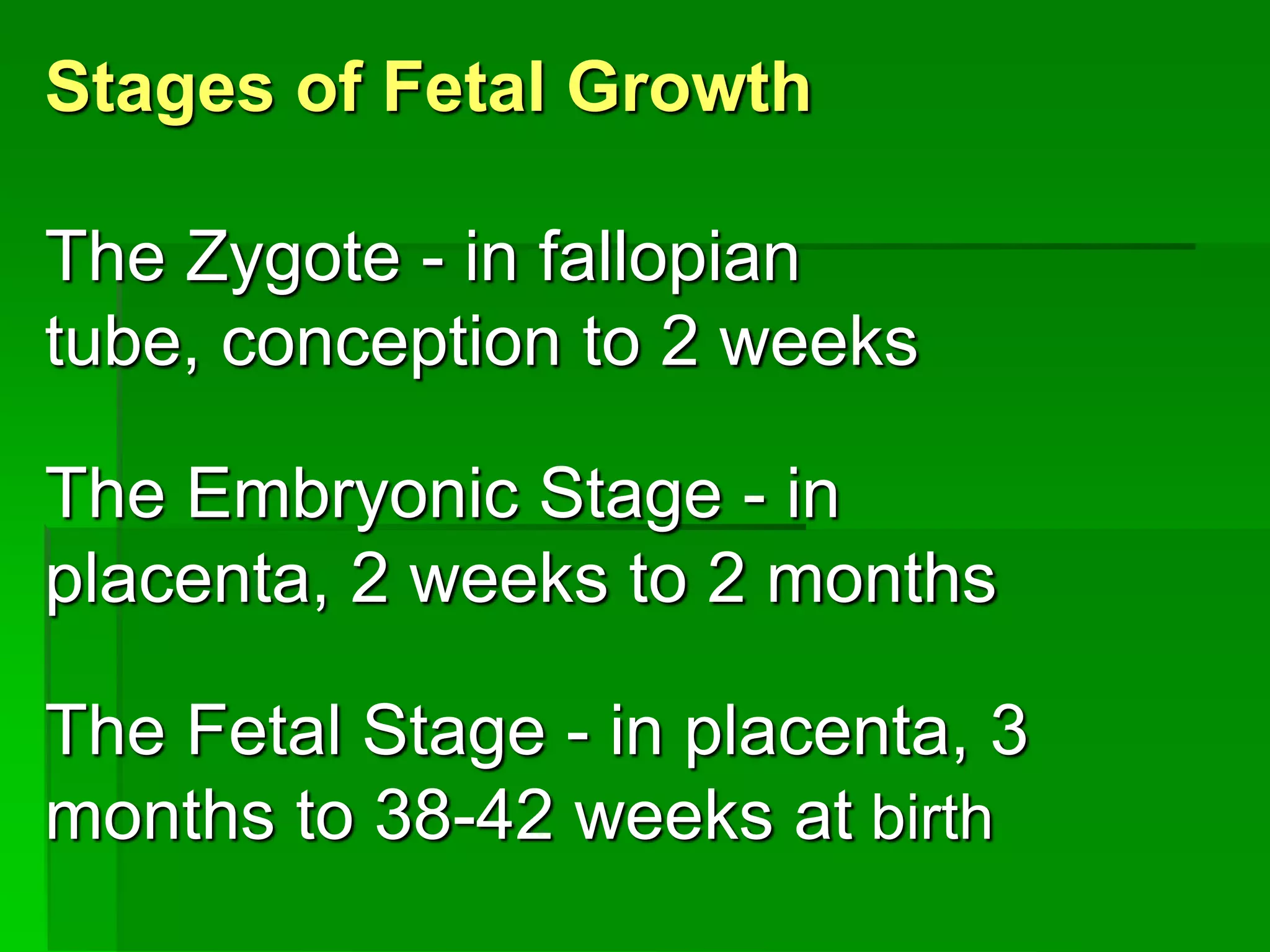 FETAL DEVELOPMENT.ppt