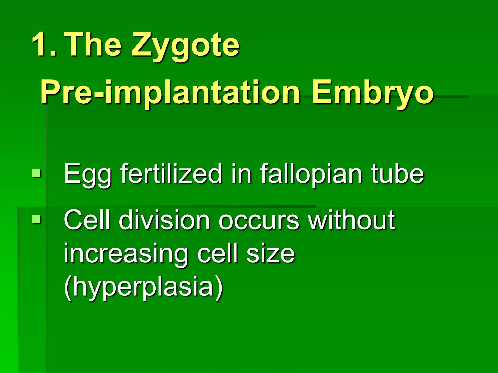 FETAL DEVELOPMENT.ppt