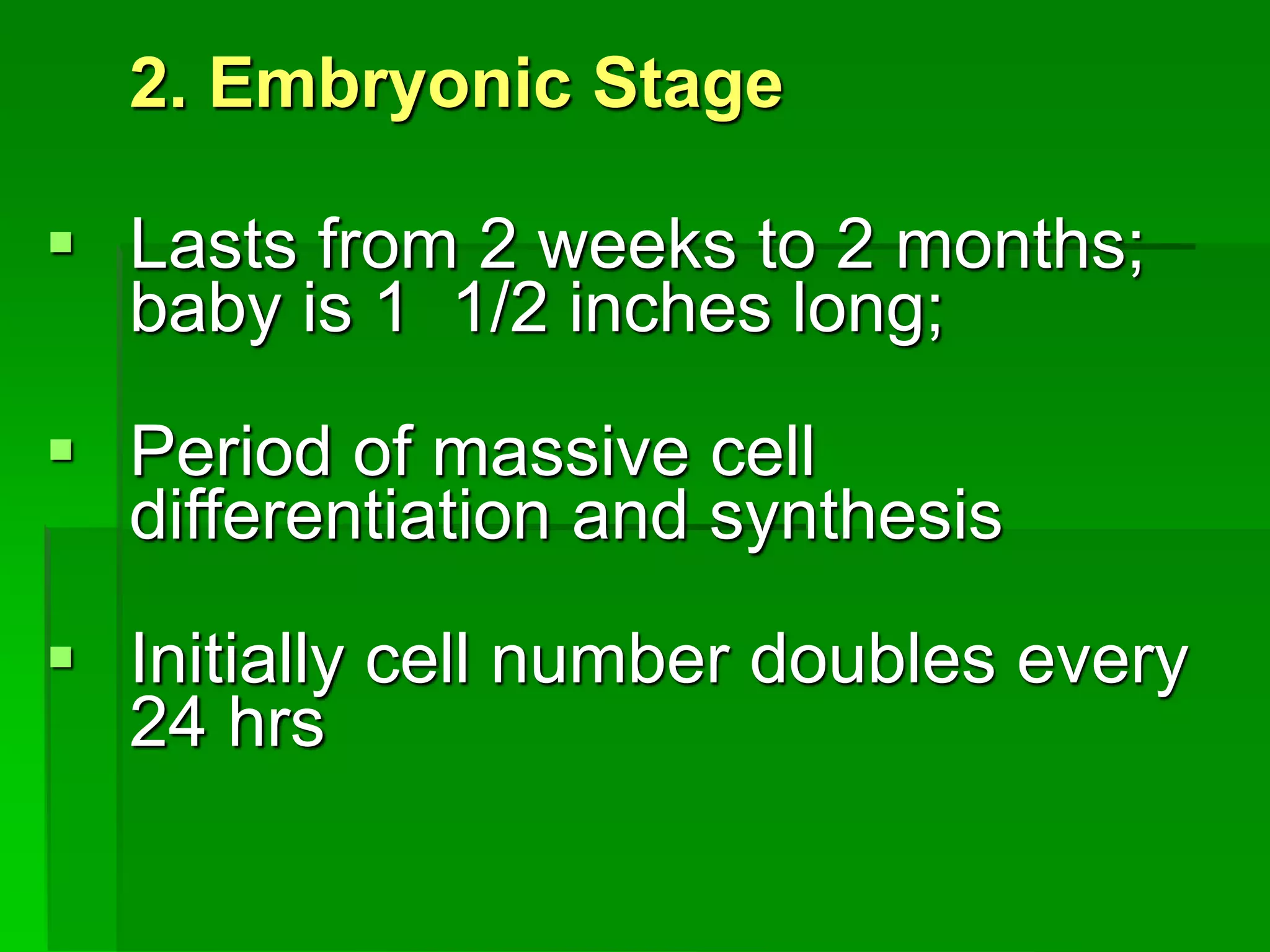 FETAL DEVELOPMENT.ppt