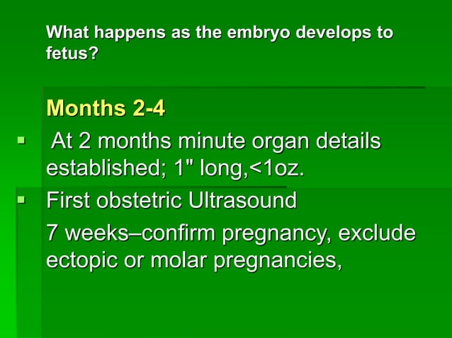 FETAL DEVELOPMENT.ppt | Pregnancy | Reproductive Health