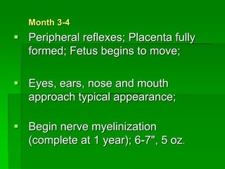 FETAL DEVELOPMENT.ppt