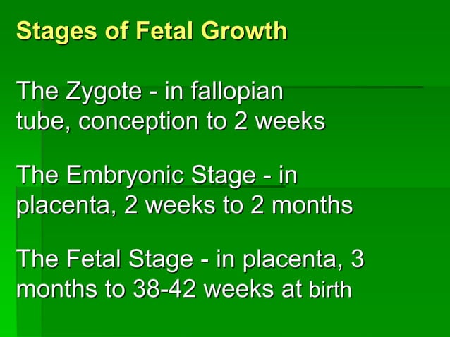 FETAL DEVELOPMENT.ppt | Pregnancy | Reproductive Health