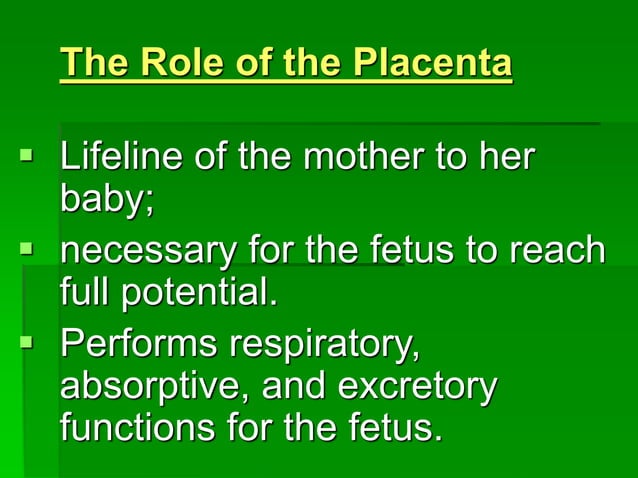 FETAL DEVELOPMENT.ppt | Pregnancy | Reproductive Health
