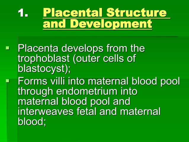 FETAL DEVELOPMENT.ppt | Pregnancy | Reproductive Health