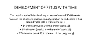 ppt on FETAL DEVELOPMENT class 12 in depth.pptx