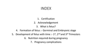 ppt on FETAL DEVELOPMENT class 12 in depth.pptx | Pregnancy ...