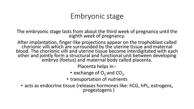 ppt on FETAL DEVELOPMENT class 12 in depth.pptx | Pregnancy ...