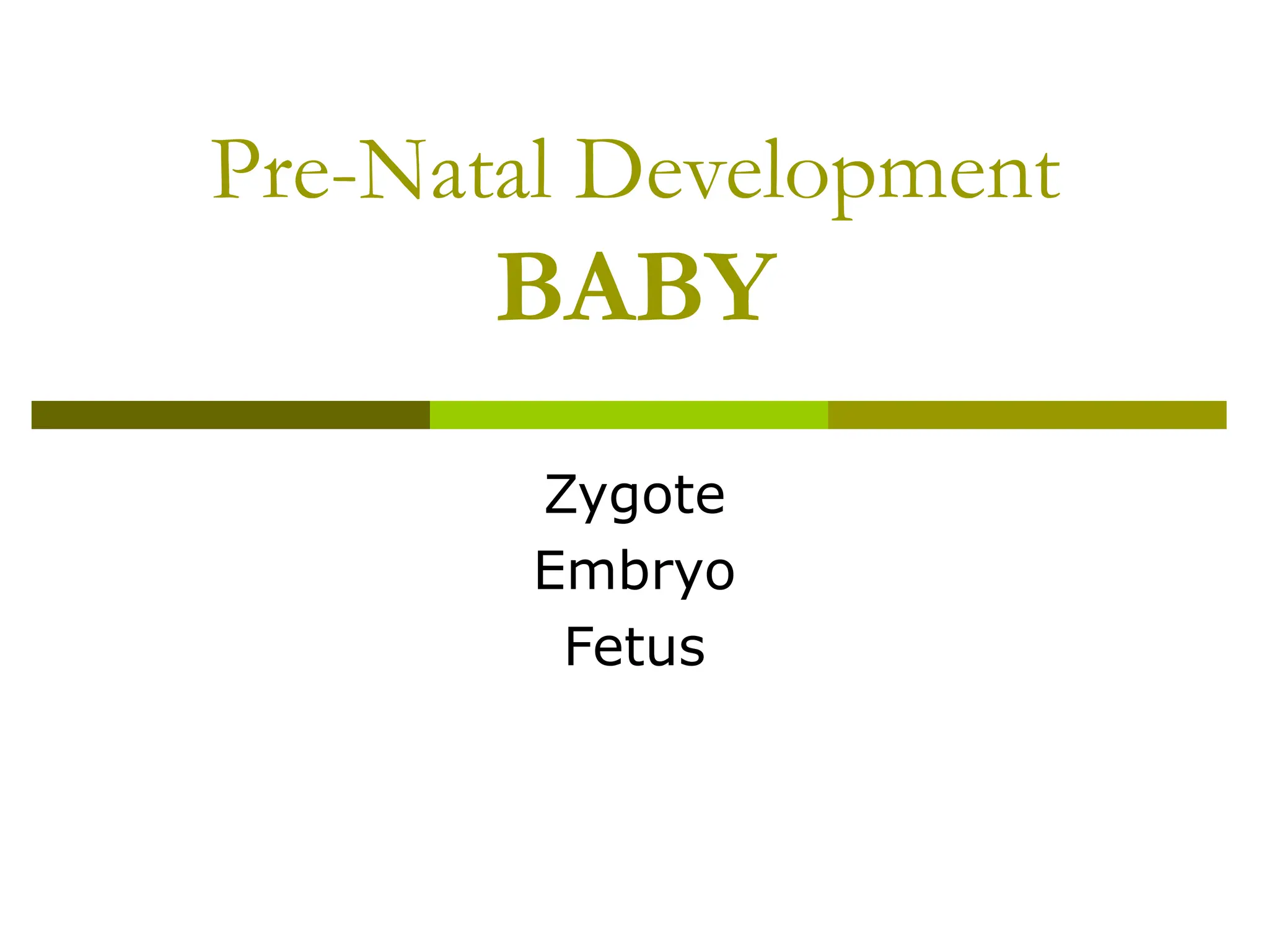 Fetal_Development.ppt