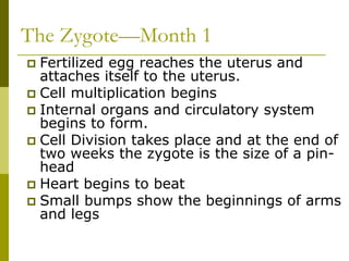 During Fetal development inside the uterus of the mother. | PPT