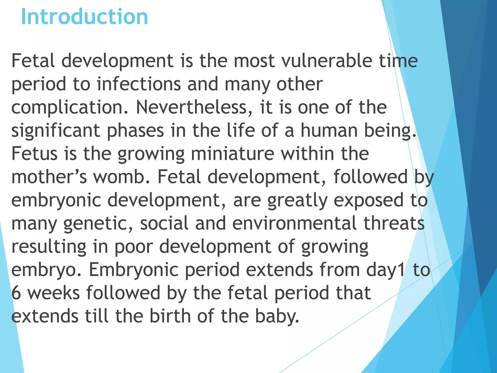 Fetal development converted | PDF