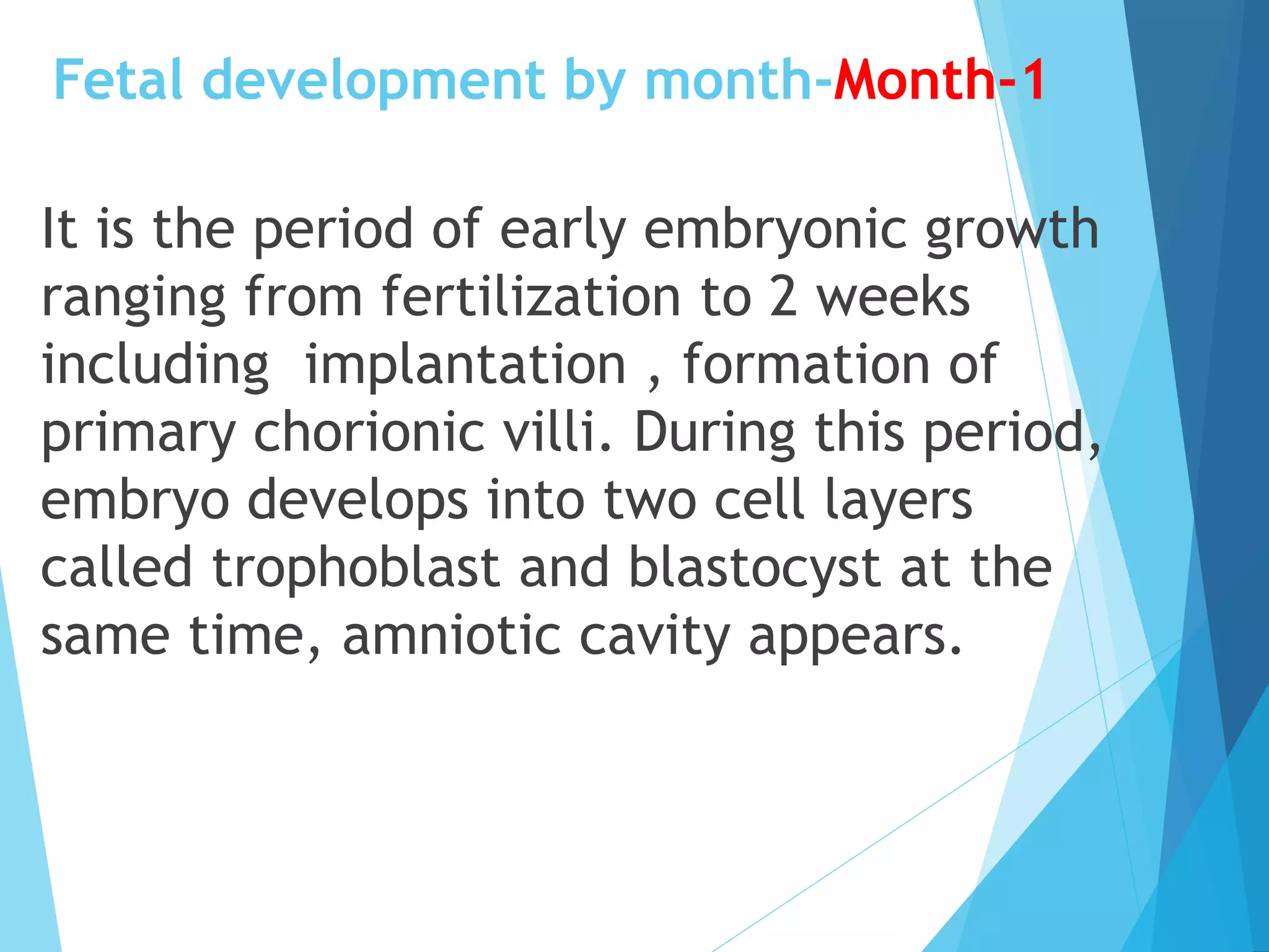 Fetal development converted | PDF