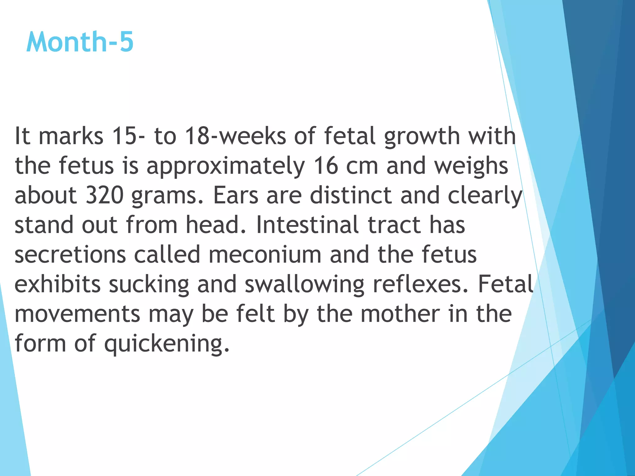 Fetal development converted | PDF