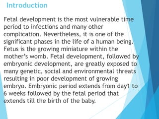 Fetal development converted | PDF