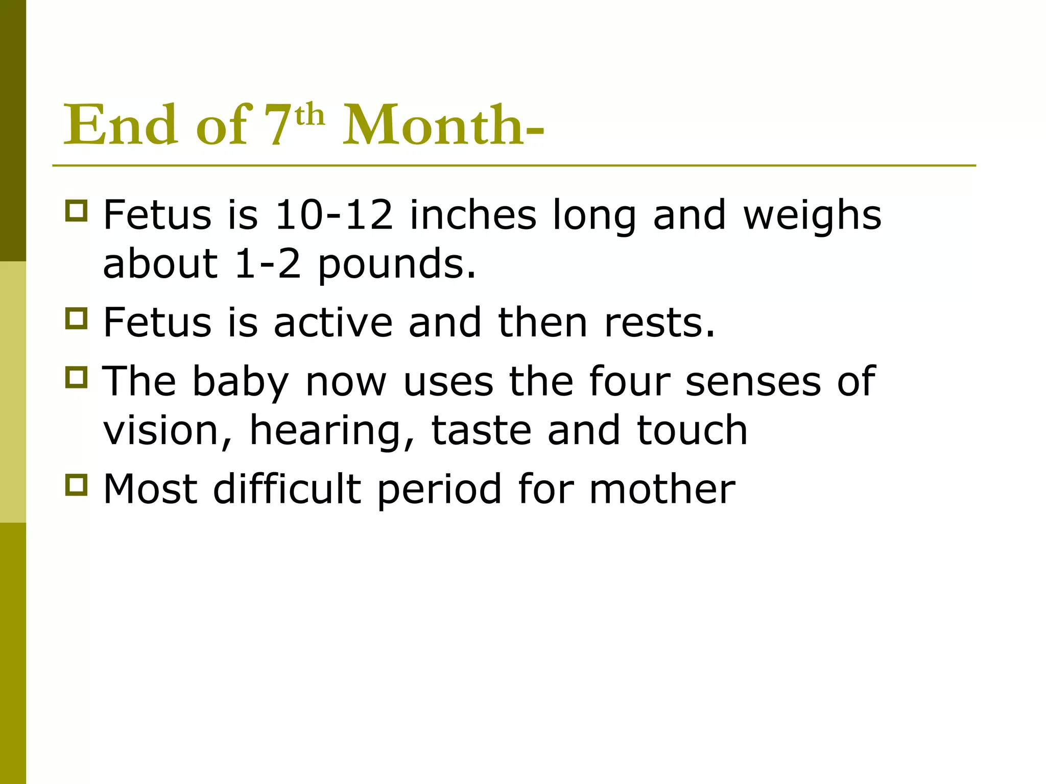 Fetal development (1) | PPT