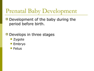 Fetal development (1) | PPT
