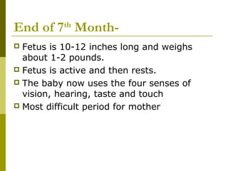 Fetal development (1) | PPT