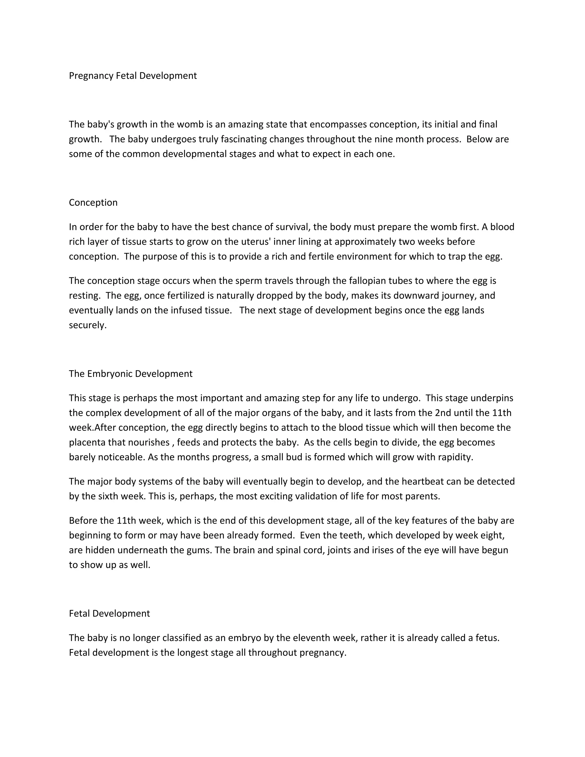 Fetal development during pregnancy | DOC