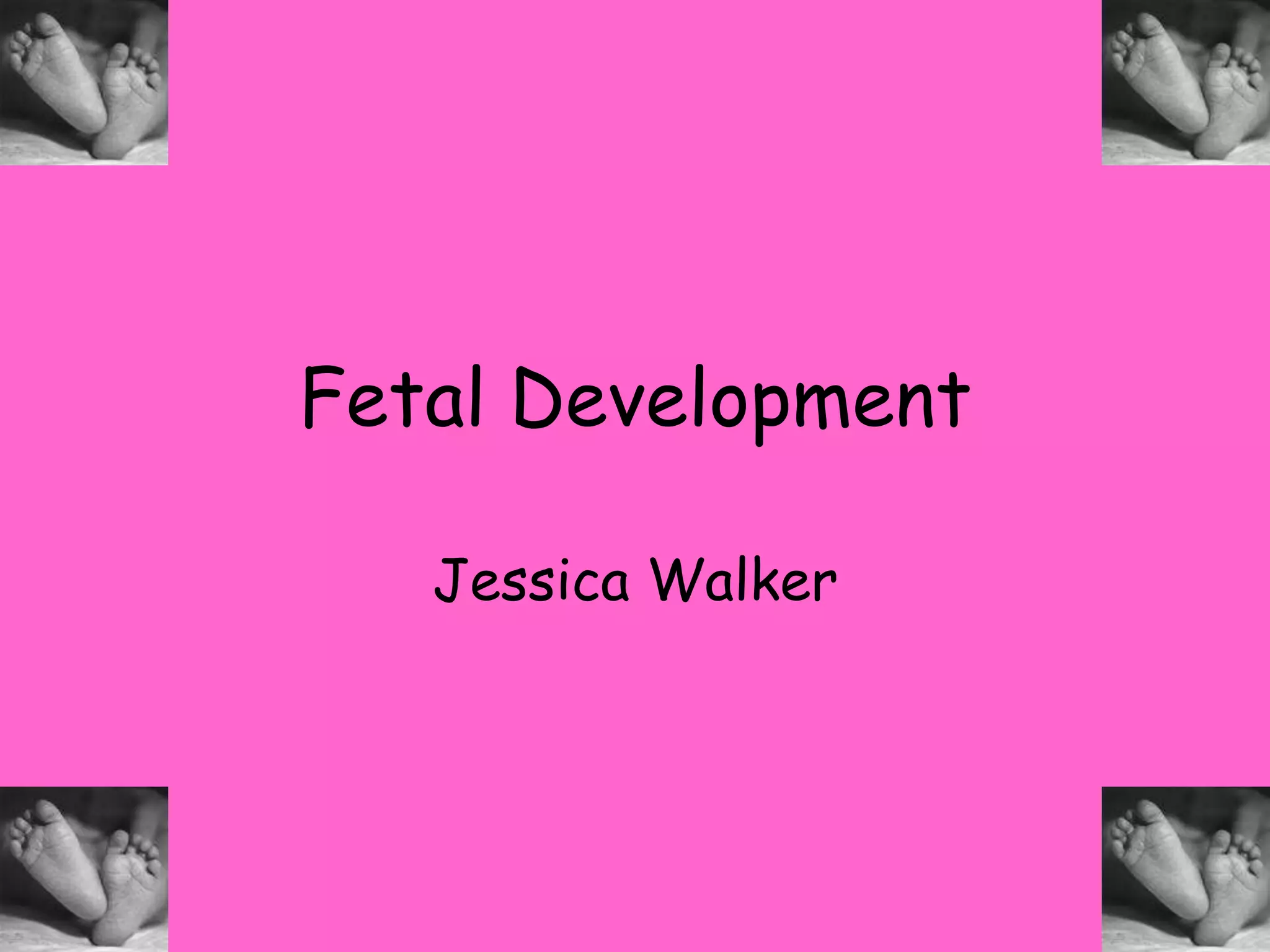 Fetal development powerpoint | PPT