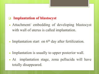 Fetal development | PPTX