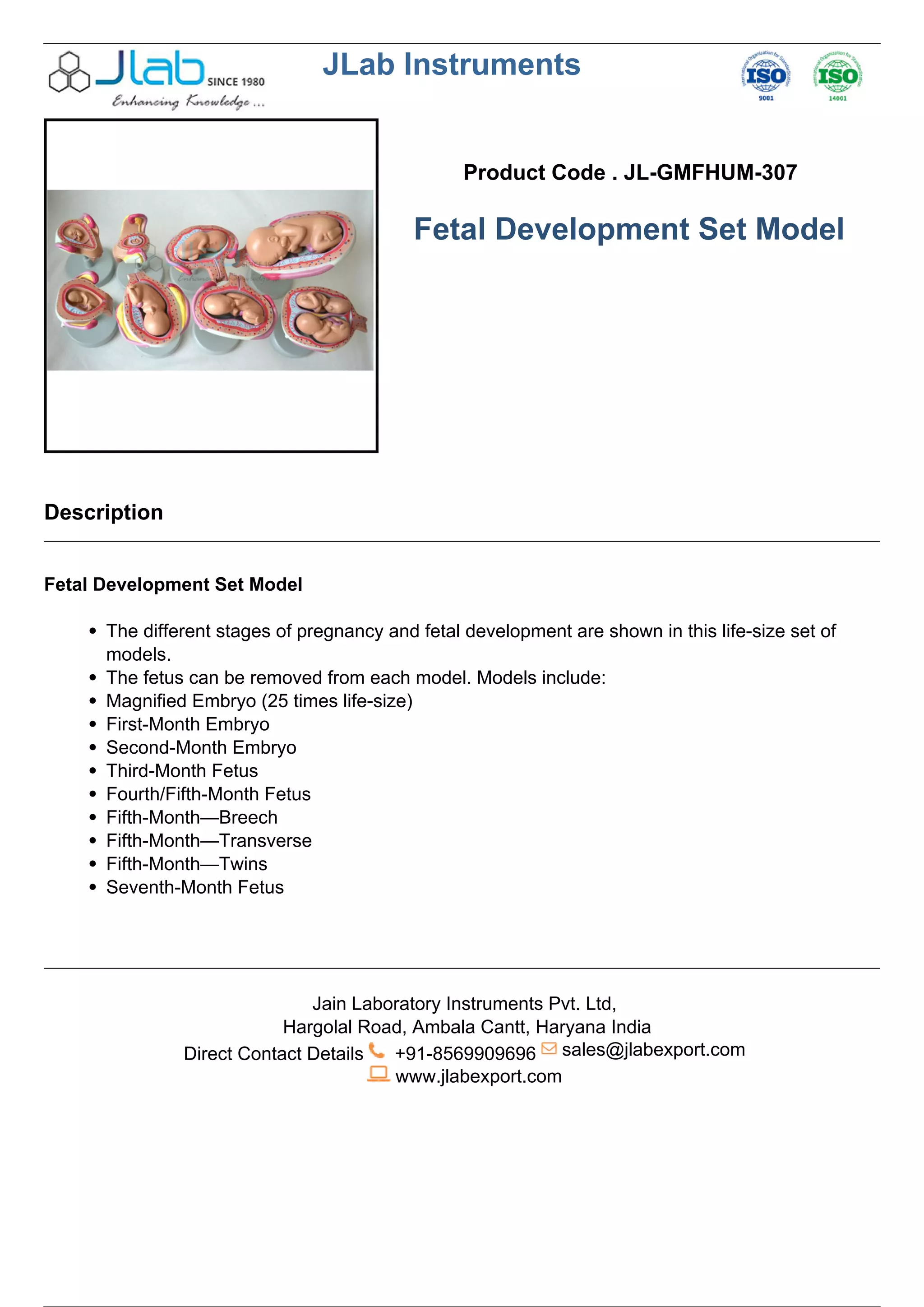Fetal development set_model | PDF