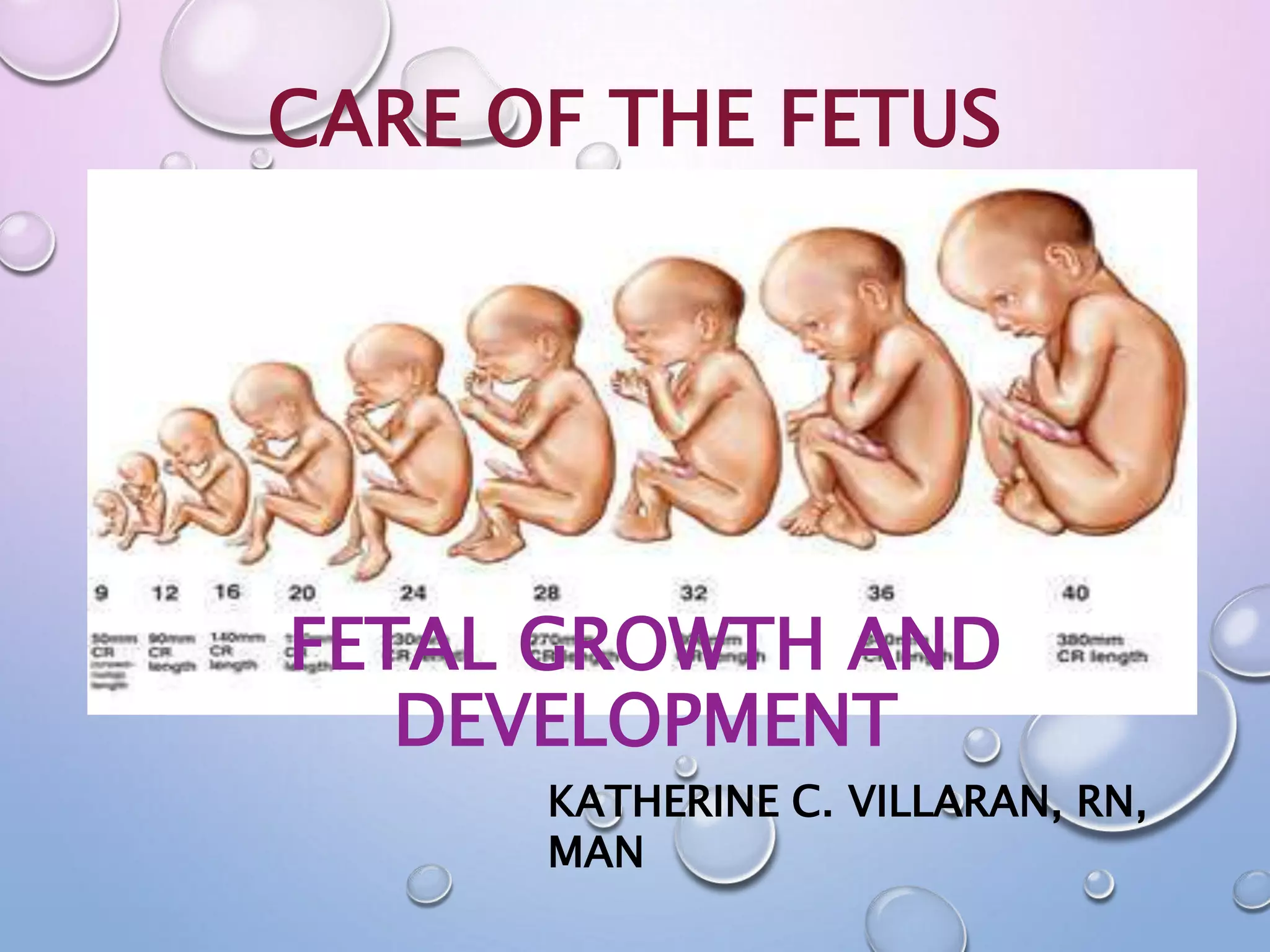 Fetal development stages | PPT | Infertility | Reproductive Health